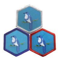 AHG Merit Badge Help – Our Feathered Friends #2